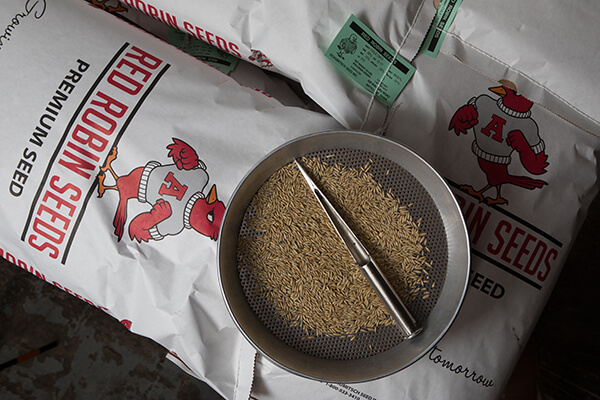 Seeds - Red Robin Seeds